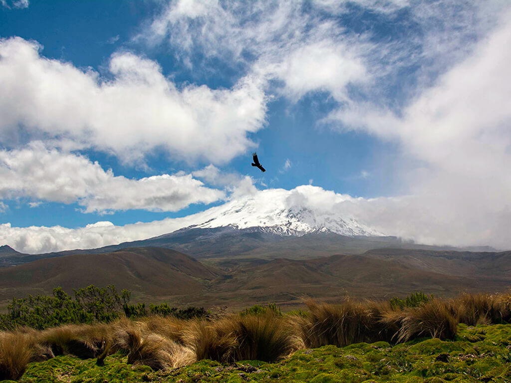Randonnées en Bolivie, au Pérou et en Équateur - Borisandina